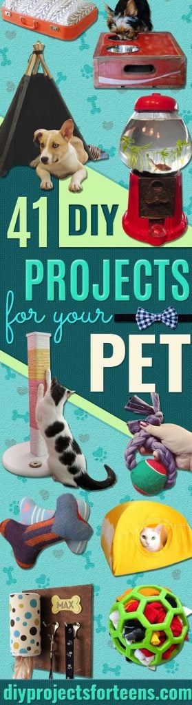 41 Crafty DIY Projects for Your Pet - DIY Projects for Teens