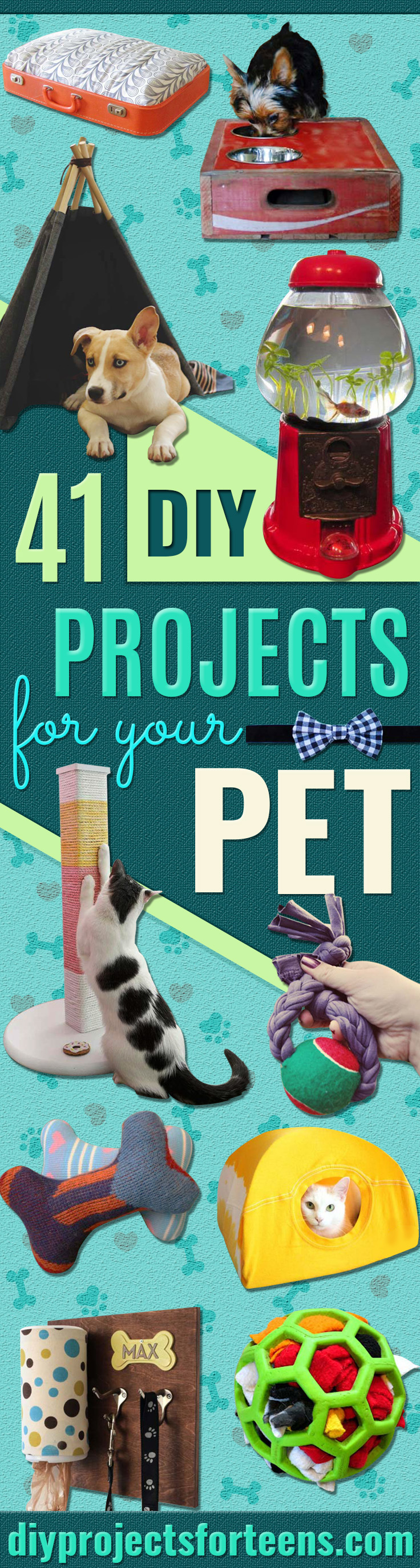 41 Crafty DIY Projects For Your Pet 41 Crafty DIY Projects For Your Pet
