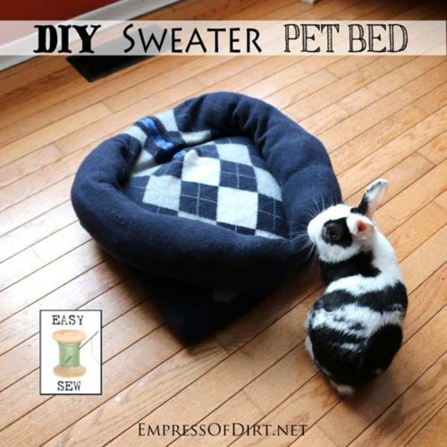 41 Crafty DIY Projects for Your Pet - DIY Projects for Teens