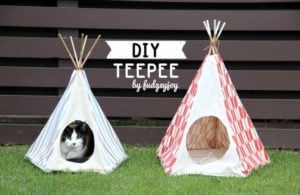 41 Crafty DIY Projects for Your Pet - DIY Projects for Teens