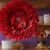 30 Brilliant Red DIY room decor ideas - DIY Projects for Teens