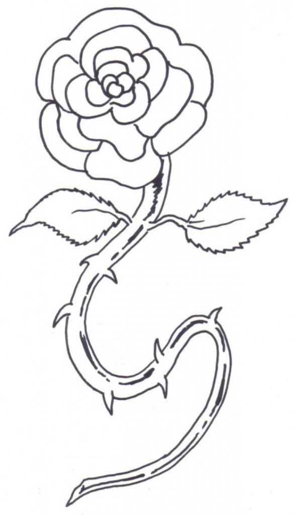 30 Flower Drawing Tutorials - DIY Projects for Teens