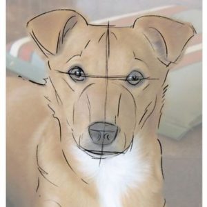 30 Ways to Draw Dogs - DIY Projects for Teens