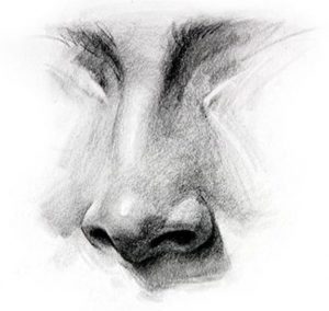 How to Draw - 100 Step by Step Tutorials for Easy Drawing Ideas